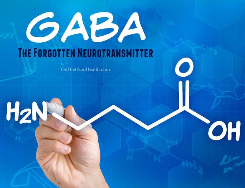 Chất GABA có vai trò như thế nào đối với bệnh động kinh